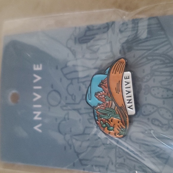 anivive | Jewelry | Cowgirl Desert Pinhat Pin | Poshmark